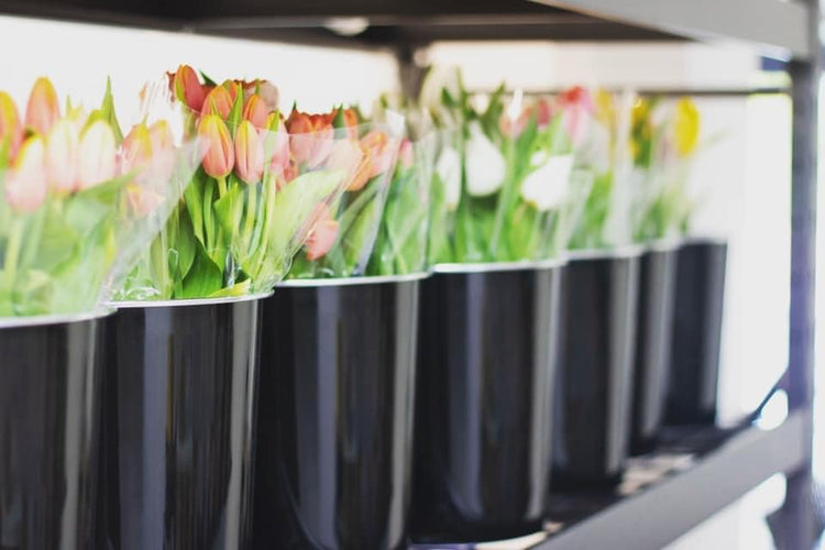 Greenery Flower Shop – Greenery Flower Shop